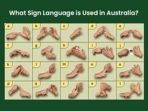Australian Sign Language | Importance & Benefits of Learning It