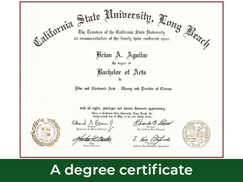 A Complete Guide on Academic Transcript with Examples