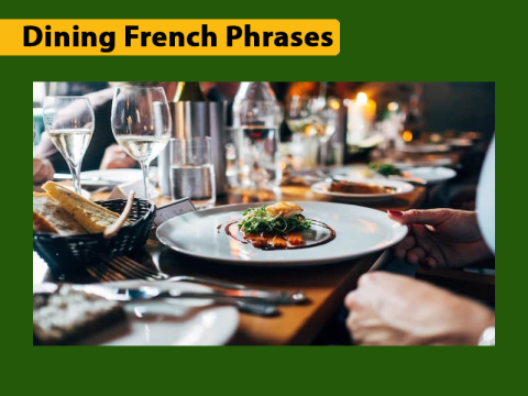 50+ Popular French Sayings And Expressions