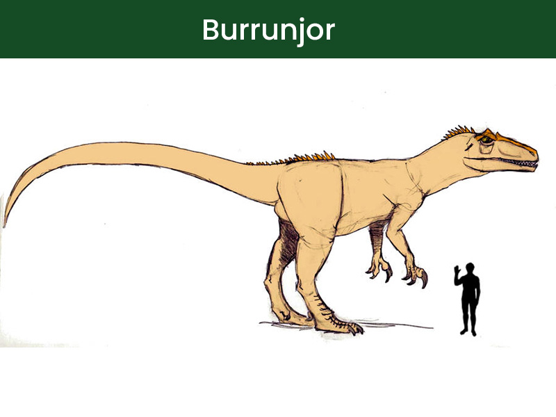 Top 11 Most Amazing Australian Mythical Creatures