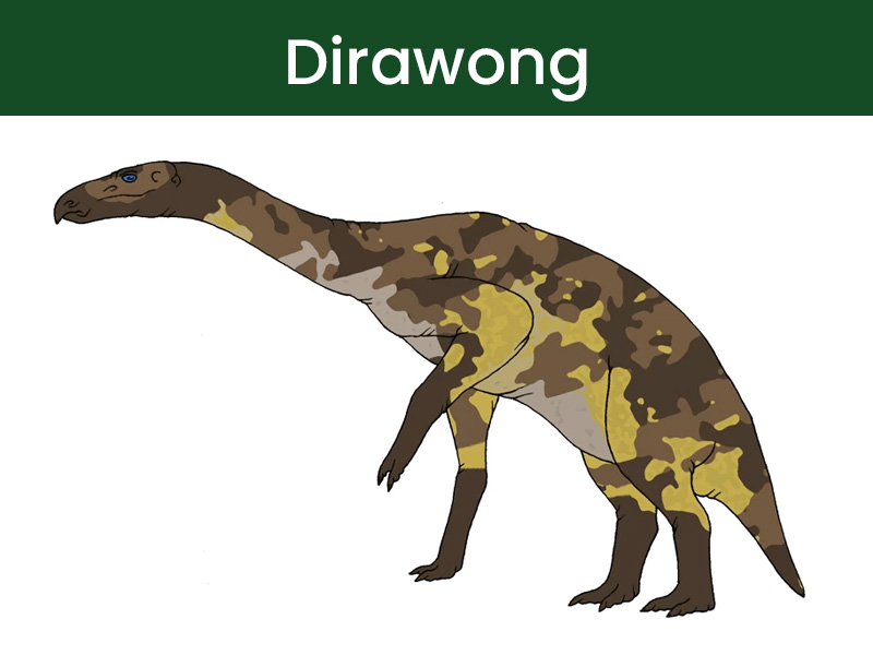 Top 11 Most Amazing Australian Mythical Creatures